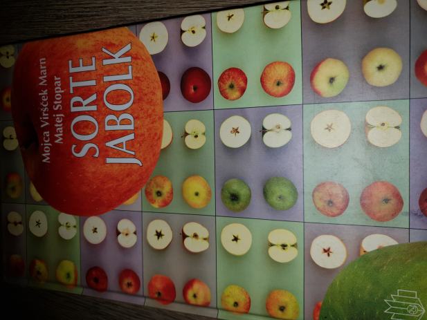SORTE JABOLK MOJCA VIRŠČEK MARN MATEJ STOPAR