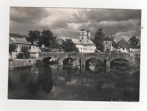 RIBNICA na DOLENJSKEM - Stari grad, foto M.Zvone