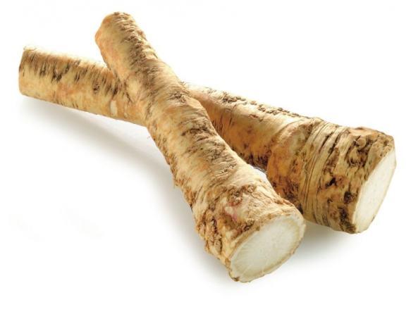 Domači HREN