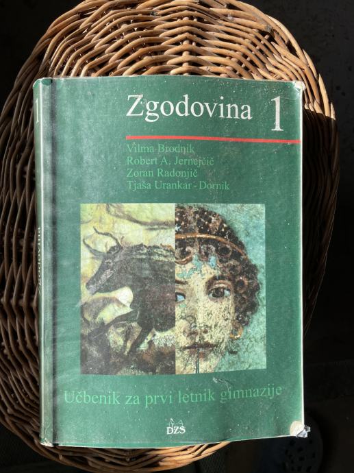 Zgodovina 1: Učbenik za prvi letnik gimnazije