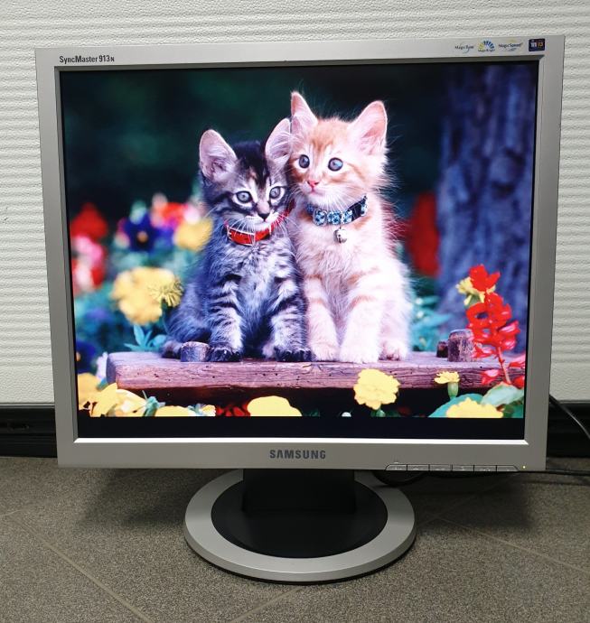 LCD monitor Samsung SyncMaster 913N