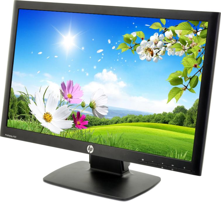 HP P221 MONITOR