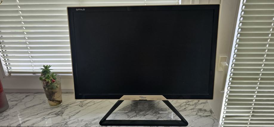 monitor Fujitsu 22