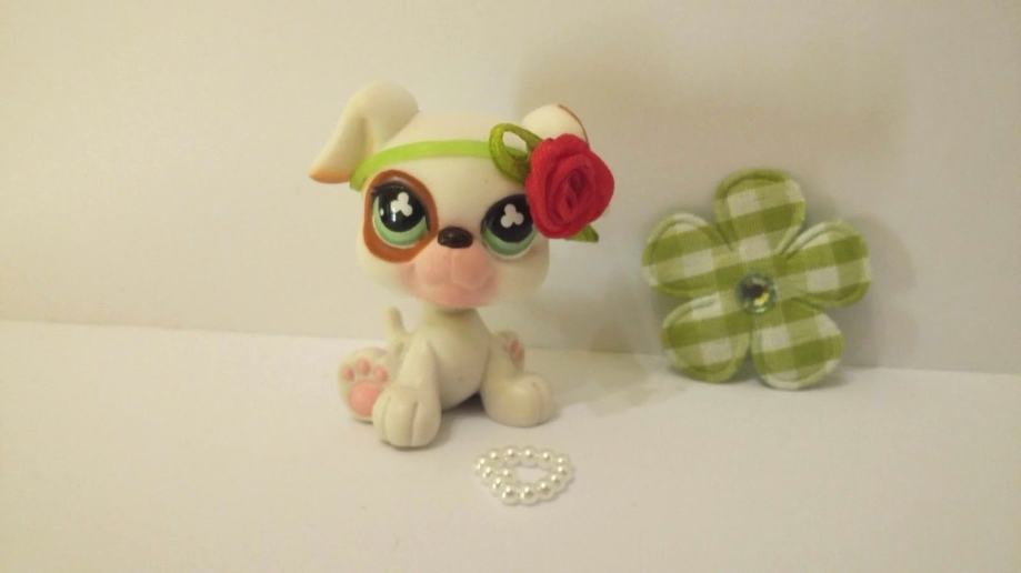 ☆Littlest pet shop-#738#-Mlad pes boxer!☆