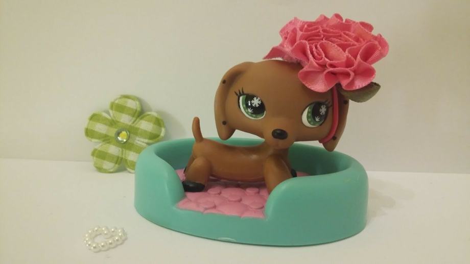 ☆Littlest pet shop-#NO.Nr.#-Pes jazbečar!