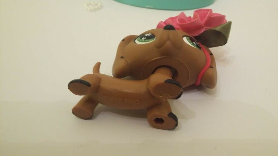☆Littlest pet shop-#NO.Nr.#-Pes jazbečar!