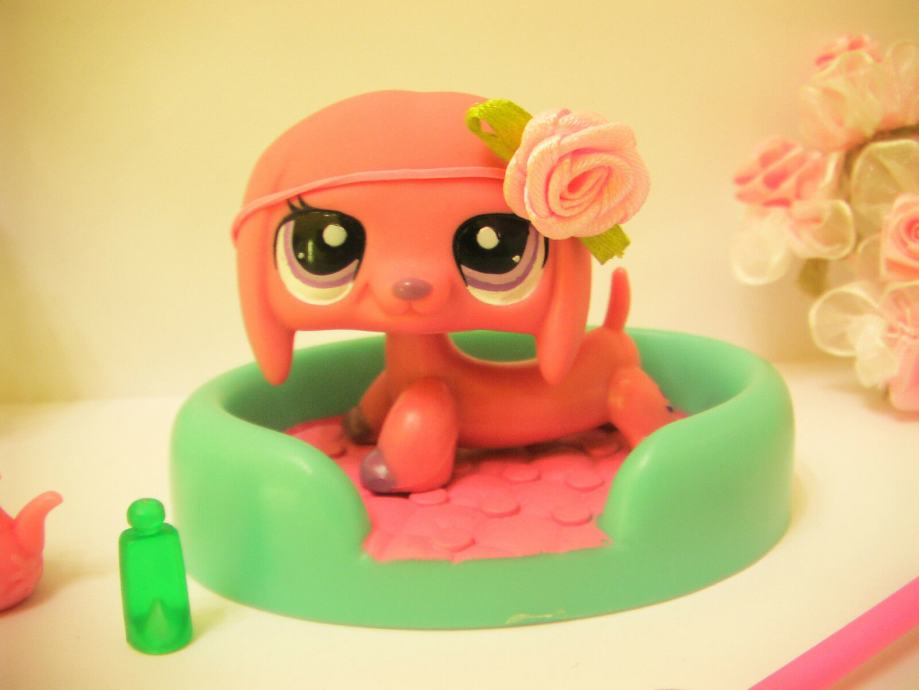 ☆Original Littlest pet shop 2013#☆Pes jazbečar!☆☆