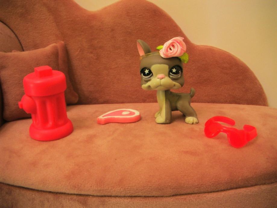 ORIGINAL Littlest pet shop-#958#- ️Pes Bostonski terier!