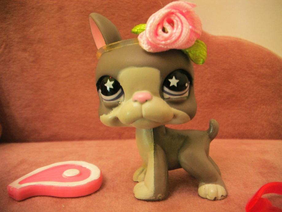 ORIGINAL Littlest pet shop-#958#- ️Pes Bostonski terier!