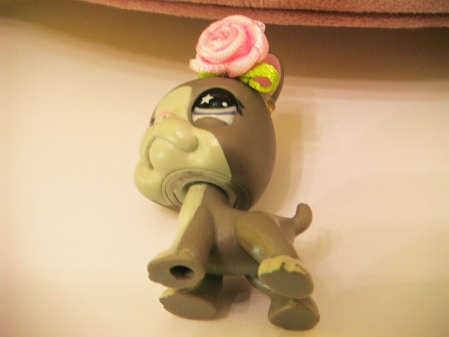 ORIGINAL Littlest pet shop-#958#- ️Pes Bostonski terier!