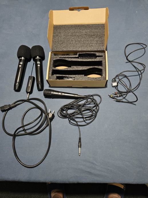 BLAUPUNKT PA25 Bluetooth karaoke zvočni sistem