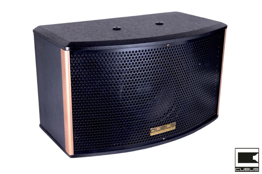 CUBUS Professional audio zvučnici ---PROMO -45% prvom kupcu u gradu---