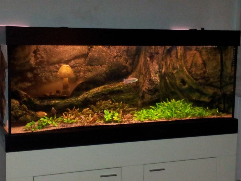 Akvarij 500L
