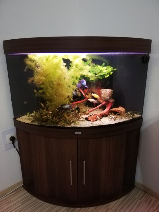 Akvarij juwel trigon 190l + filter fluval 205