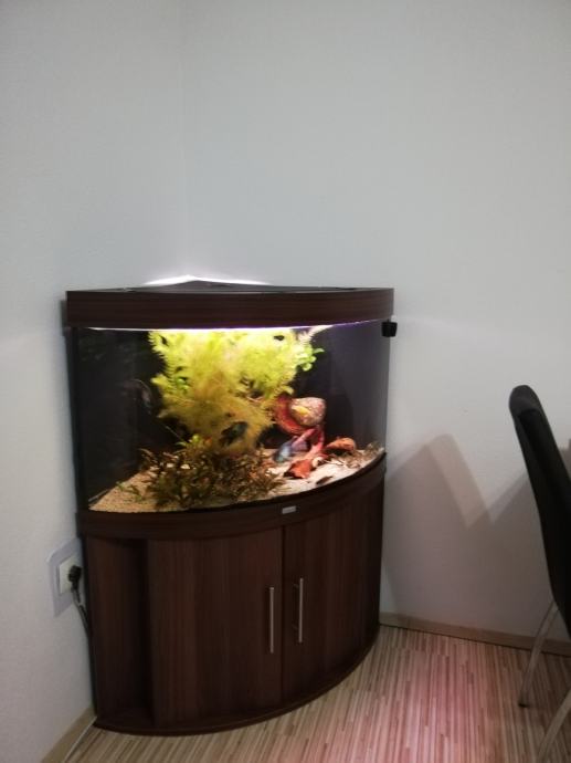 Akvarij juwel trigon 190l + filter fluval 205