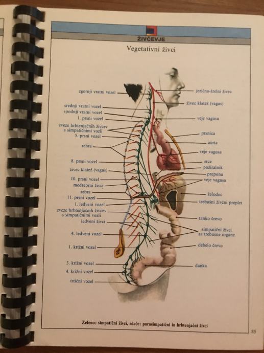 Anatomija čoveka, naravoslovni atlasi
