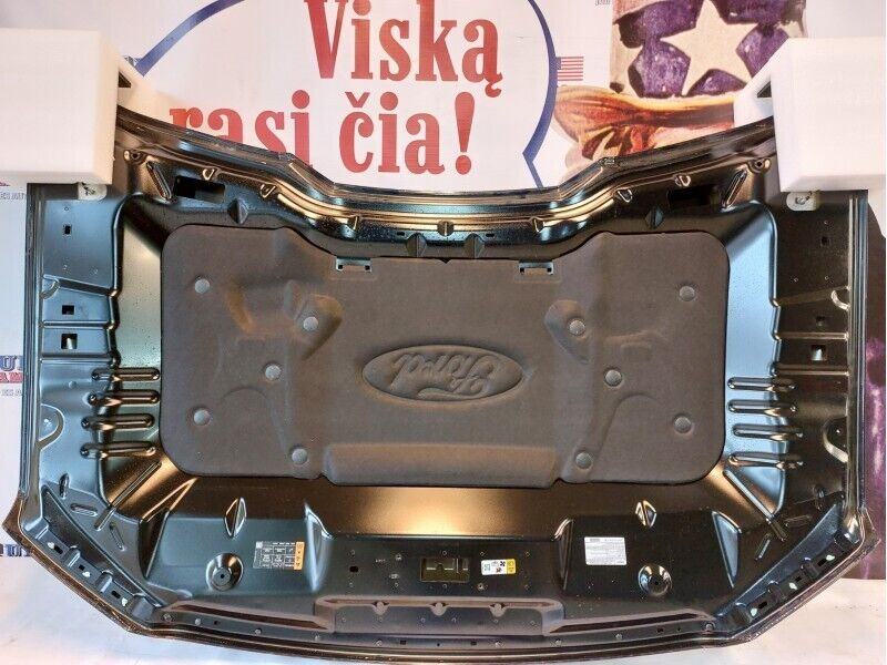 2021-23 Ford F-150 OEM Hood Bonnet (ML3Z-16612-D)