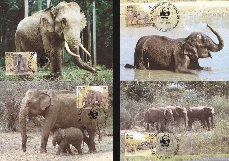 ŠRI LANKA 1986 WWF SLONI ŽIVALI ** Mi 753/756 ** 4x maksimum karta
