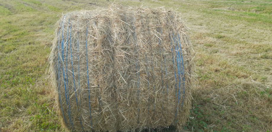 Balirka za okrogle bale