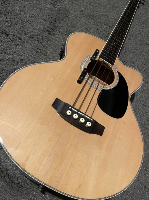 Akustična fretless bass kitara