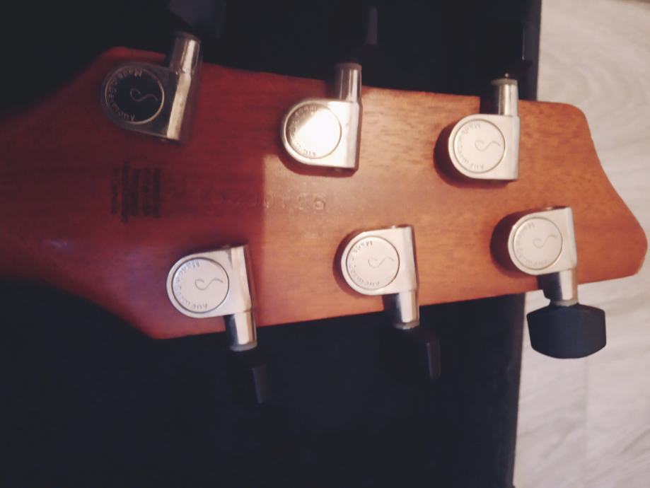 P/M Godin LGX-SA
