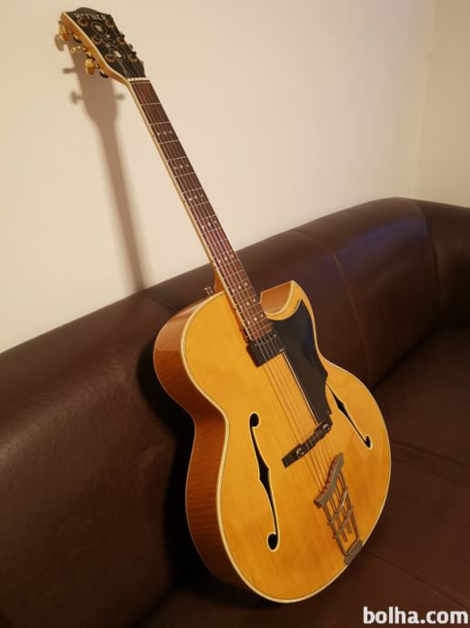 Kitara Hofner 477 s kovčkom