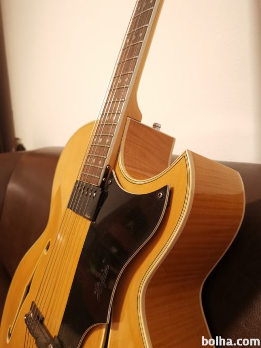 Kitara Hofner 477 s kovčkom