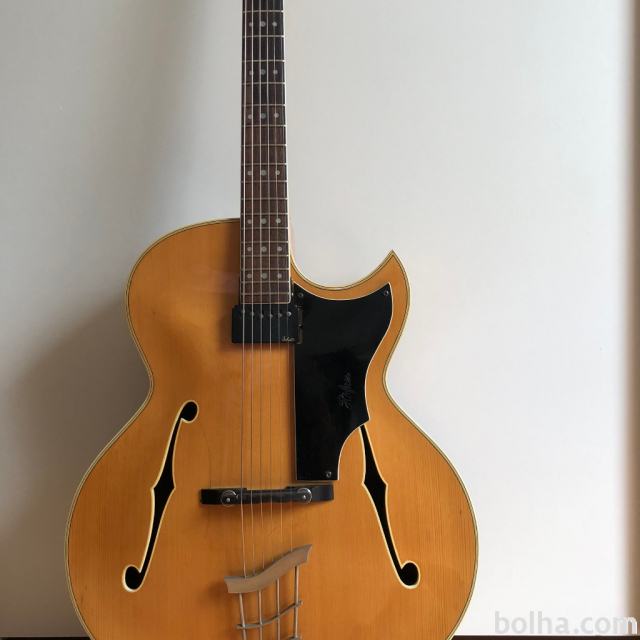 Kitara Hofner 477 s kovčkom