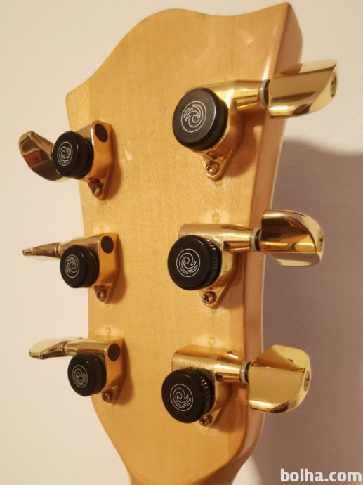 Kitara Hofner 477 s kovčkom