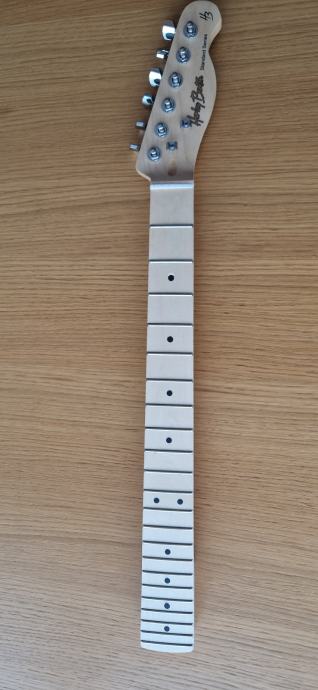 Kitarski vrat, oba pickupa in control plate za telecaster