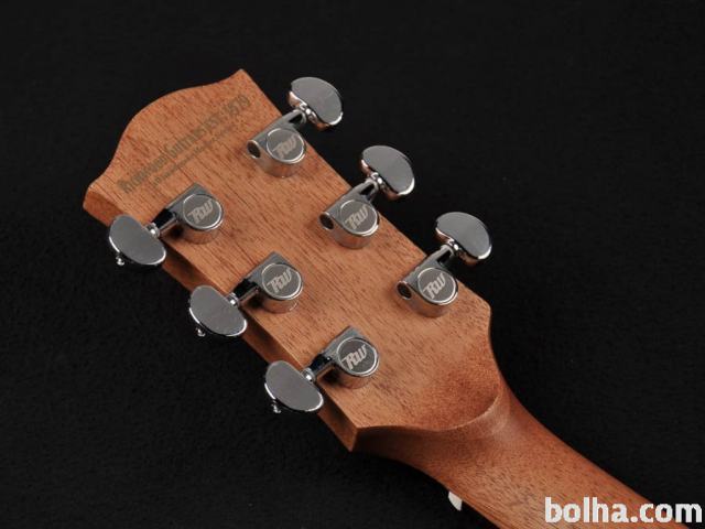RICHWOOD D-20-E MASTER Akustična kitara akustične kitare