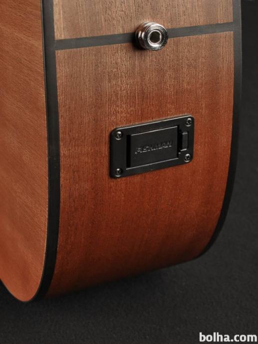 RICHWOOD D-20-E MASTER Akustična kitara akustične kitare