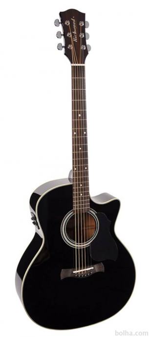 RICHWOOD G-40-CEBK MASTER Akustična kitara akustične kitare