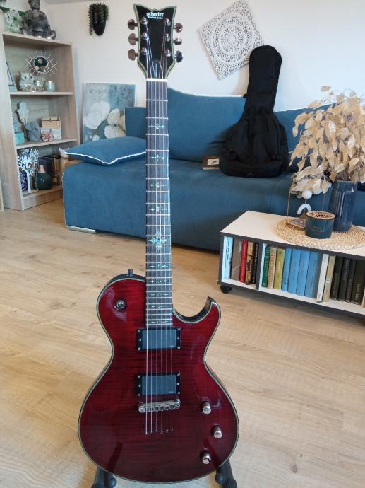 Schecter Damien Solo Elite 6 (aktivni EMG magneti)