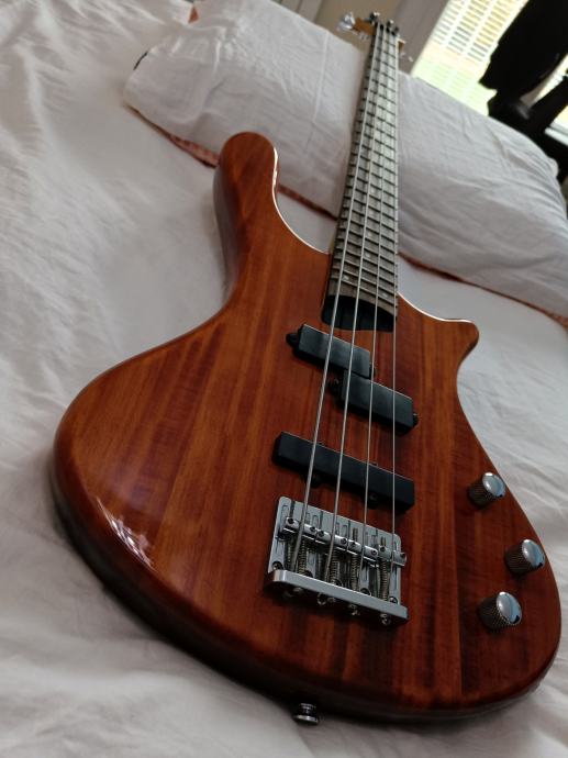Washburn bas kitara