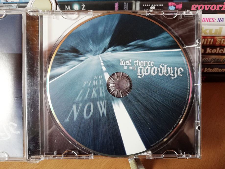Last Chance To Say Goodbye – No Time Like Now