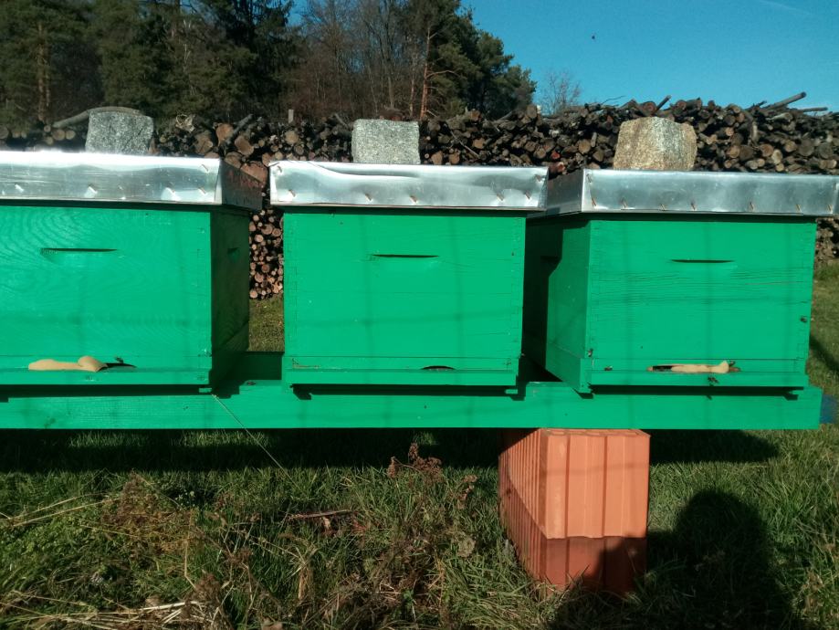 Prodam panje s čebelami