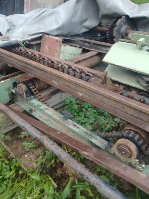 GATER ESTERER 56