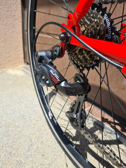 Capriolo Eclipse 4.0 2024 novo cestno kolo