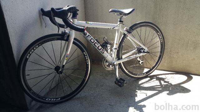Focus Variado rookie 24 col