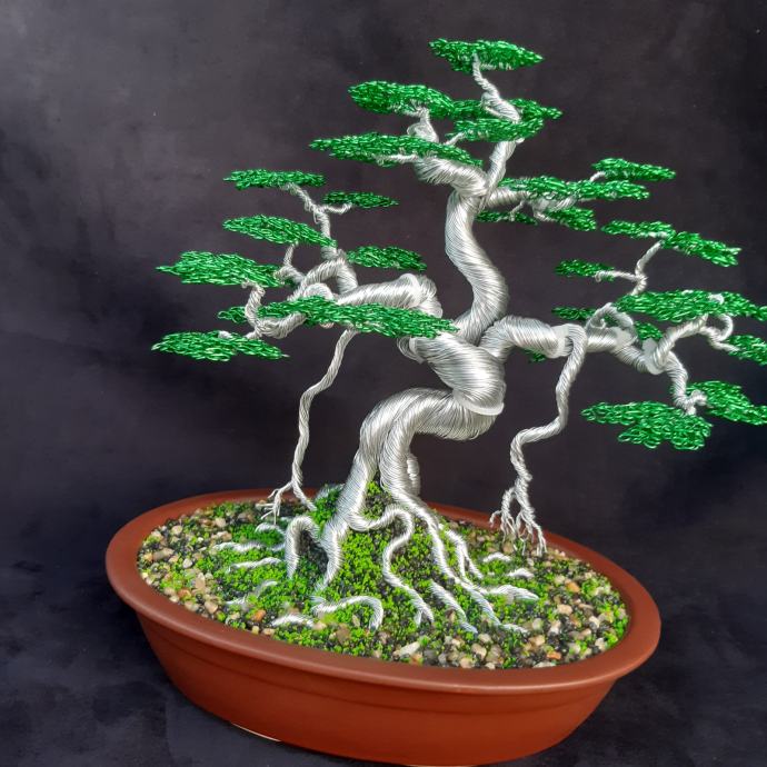 bonsai žično drevo