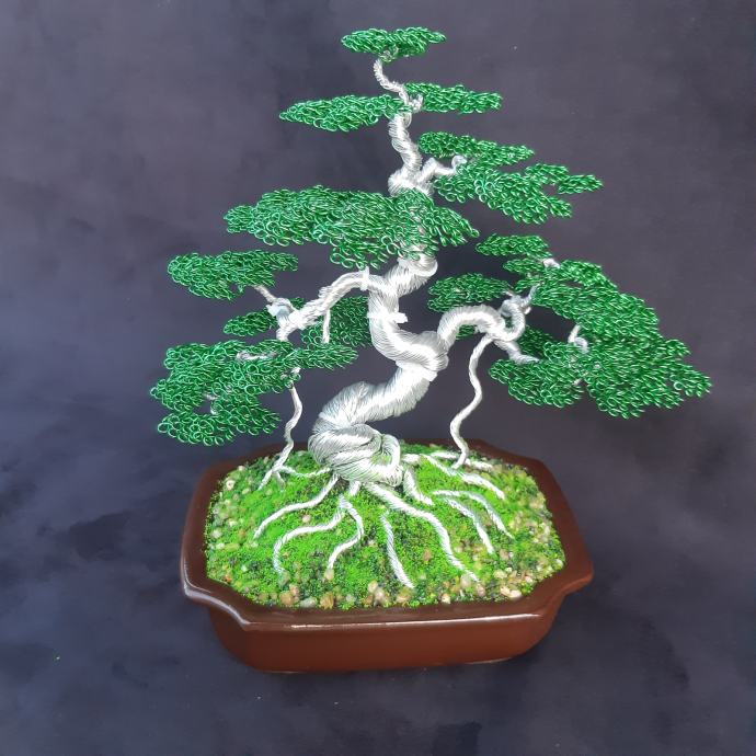 bonsai žično drevo