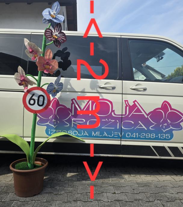 Mlaj - roža mini verzija