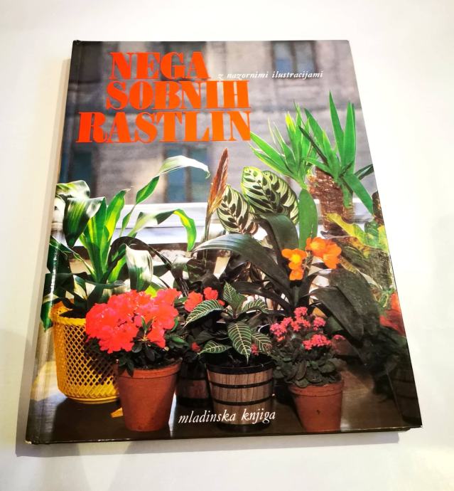 David Longman:NEGA SOBNIH RASTLIN