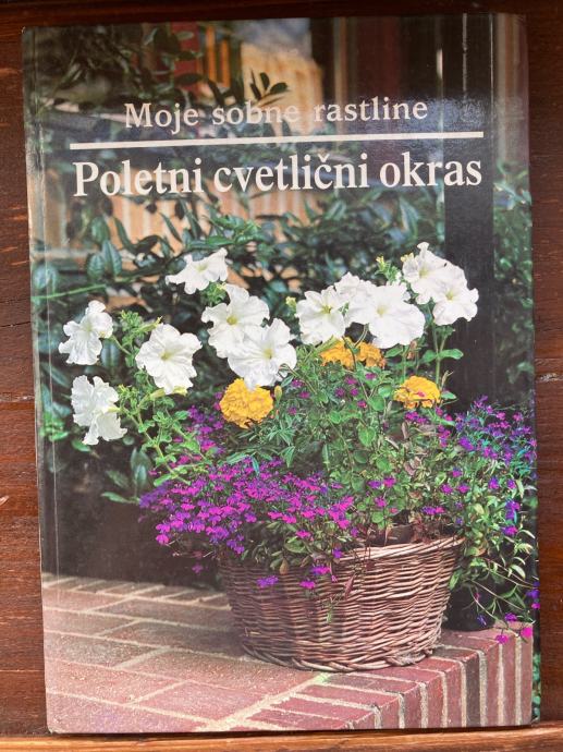 Moje sobne rastline: POLETNI CVETLIČNI OKRAS