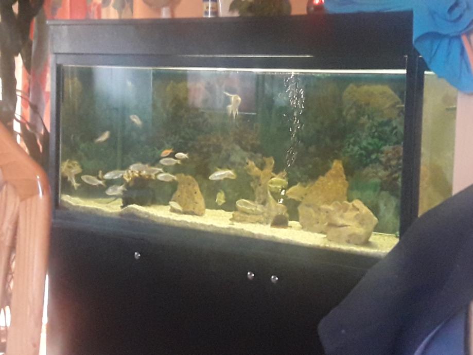 Akvarij
