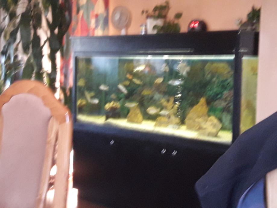 Akvarij