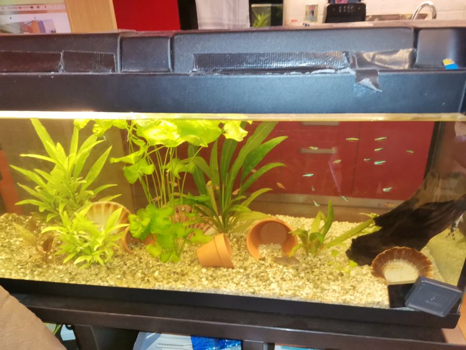 Akvarij