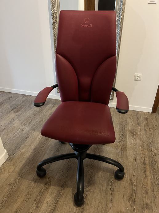 Ergonomski pisarniški stol Spinalis Apollo