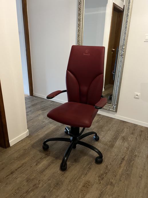 Ergonomski pisarniški stol Spinalis Apollo